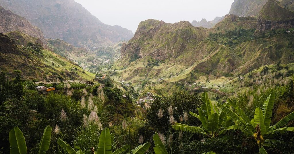Experimentar e Descobrir o Grogue | Cabo Verde Travel Guide